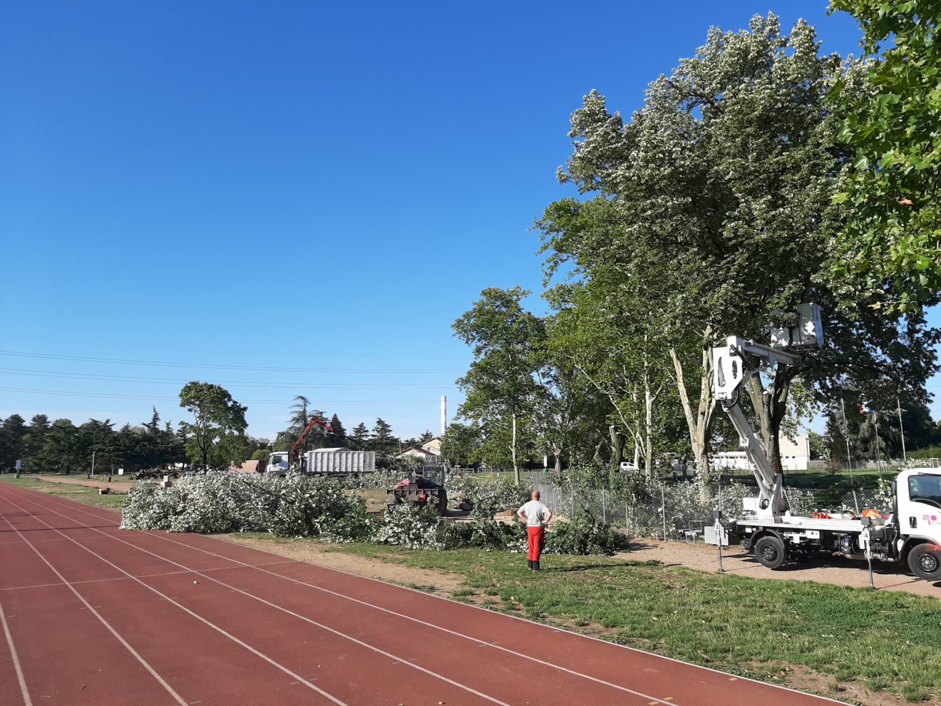 Parc de Parilly : l'allée Charretière change de look ! - Vers un ...